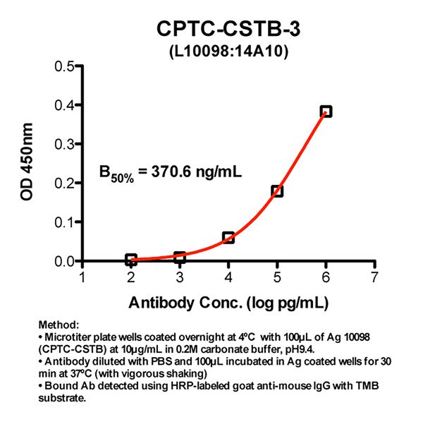 Cystatin B Antibody (CPTC-CSTB-3) - DSHB